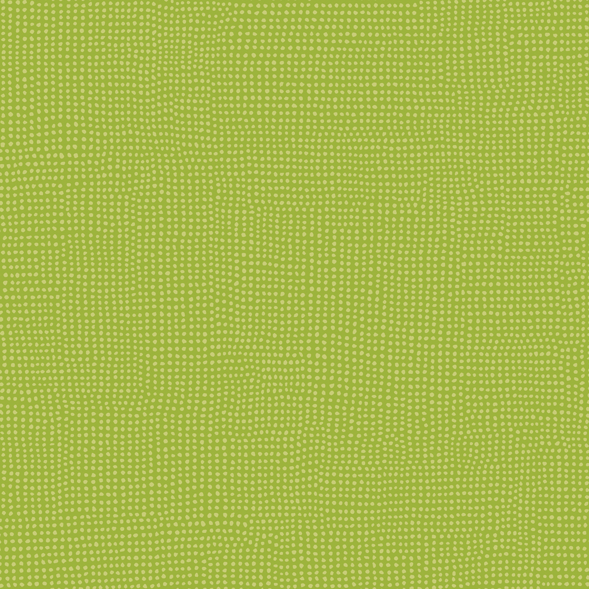 Solatech 43 CF | La Maison du SOL